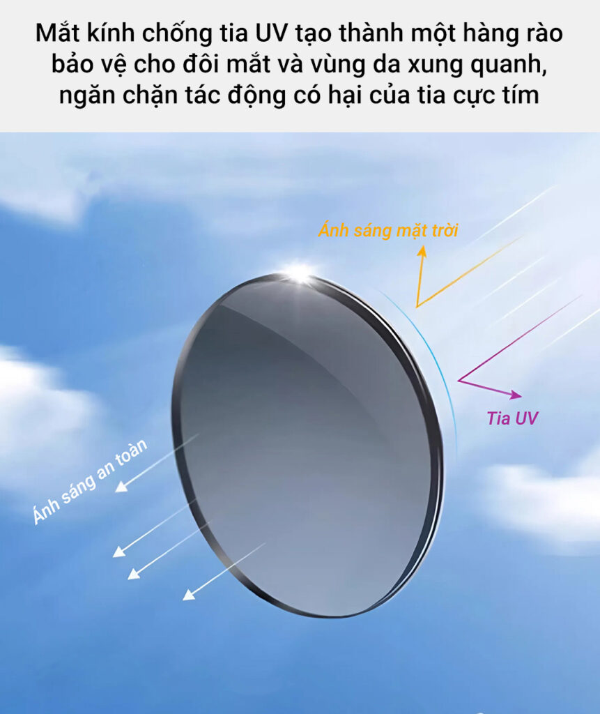 Kính mắt nữ cao cấp ELLY - EK164 | ELLY - TOP 10 Thương Hiệu Nổi Tiếng ...